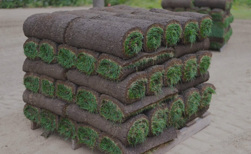 High-Quality Sod Delivery & Sod Installation on Long Island